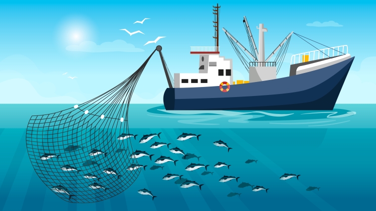 Fiskerikommissionens anbefalinger om fremtidens fiskeri - FoodprocesFOKUS