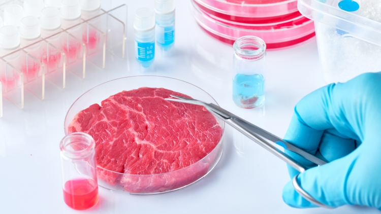 CellFoodDay satte fokus på fremtidens cellebaserede fødevarer ...